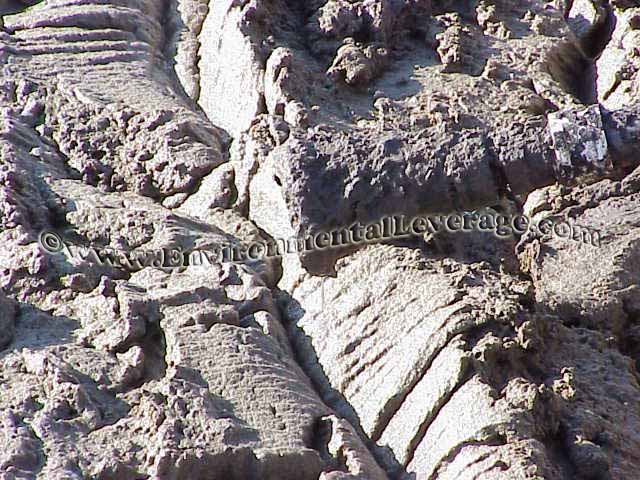 Filamentous Identification